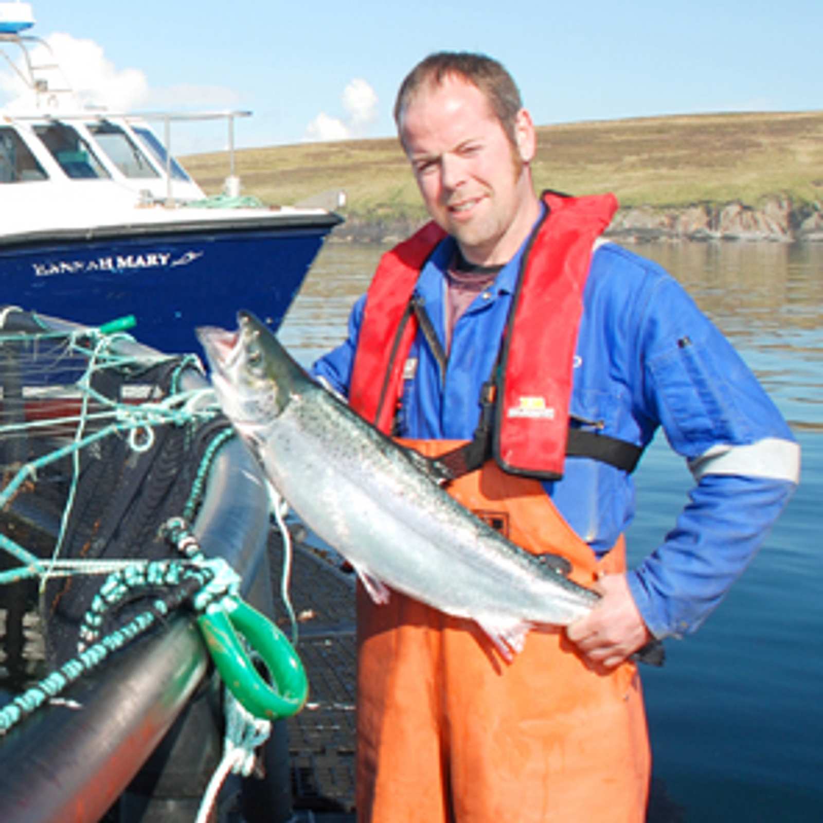 Biofisch – die wichtigsten Vorteile | LECKER