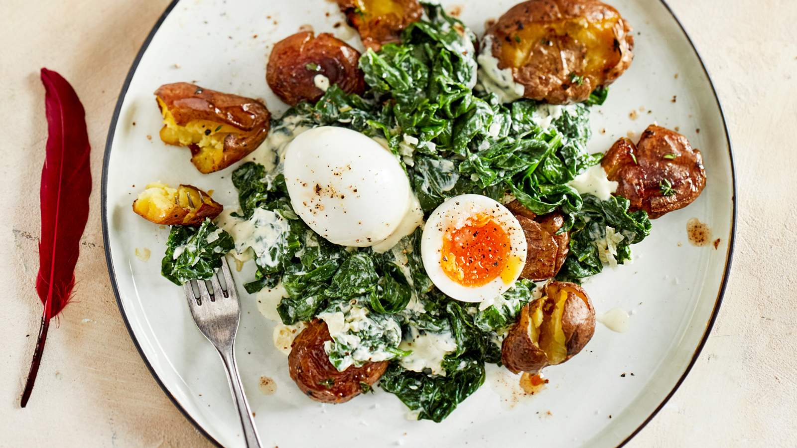 Spinat-Rezepte – die besten Gerichte mit Spinat | LECKER