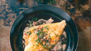 Schollenfilet Rezepte | LECKER