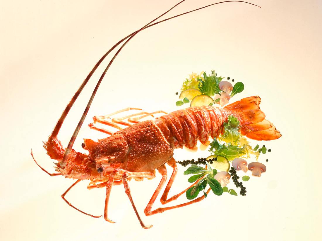 Gekochte Languste Rezept | LECKER
