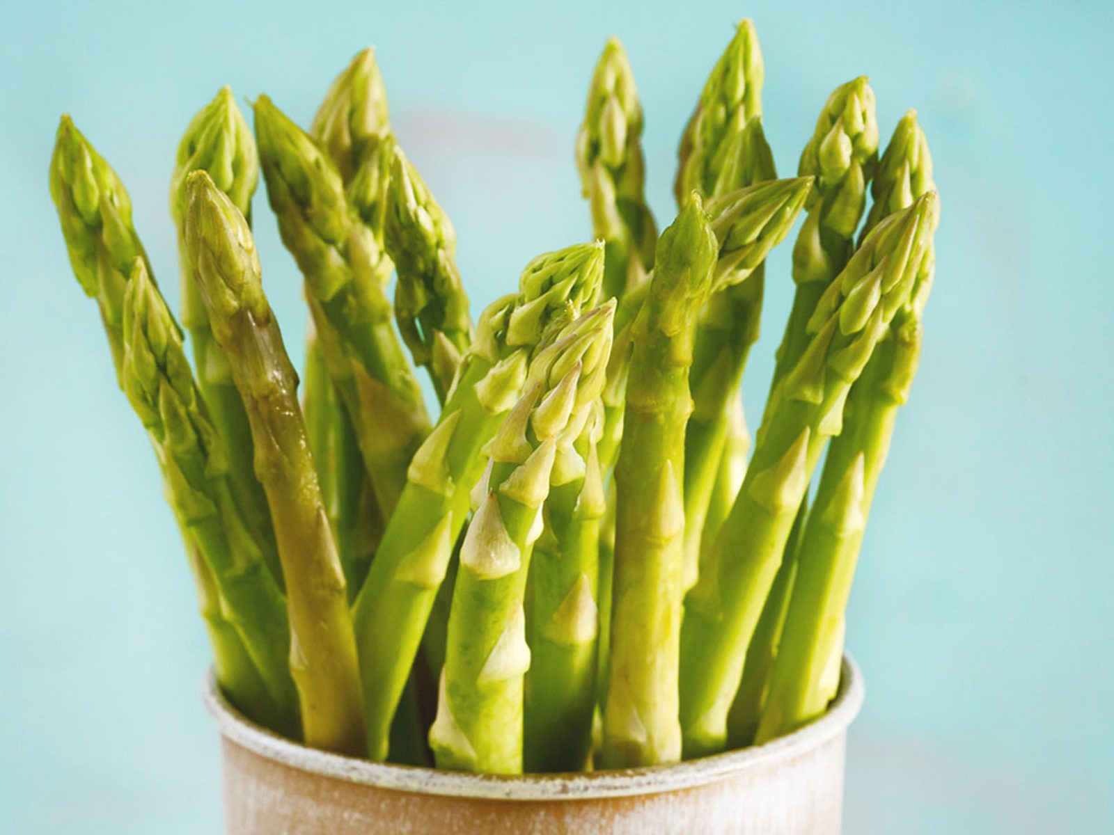 Grüner Spargel - Rezepte, Tipps und Warenkunde | LECKER