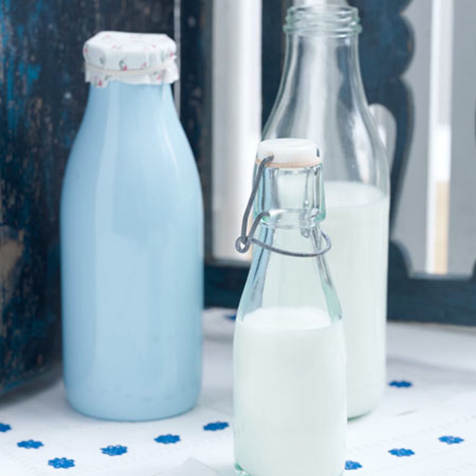 Kuhmilch - tierisch vielseitig! | LECKER