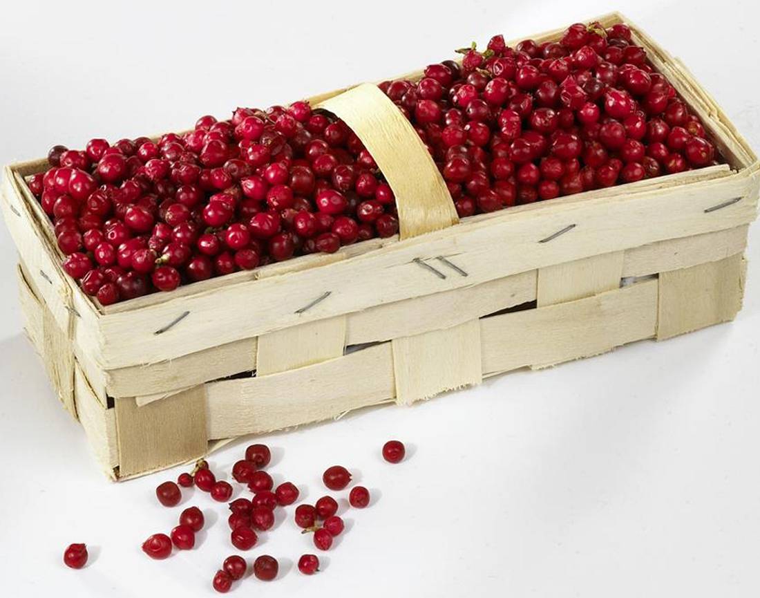 Preiselbeeren | LECKER