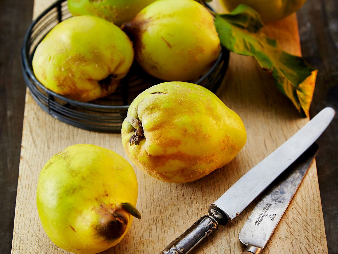 Quitte - süß-herbes Früchtchen | LECKER
