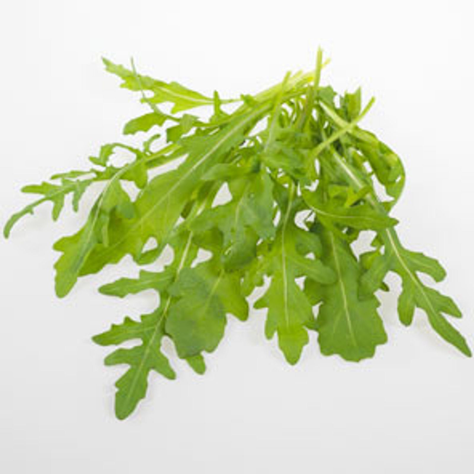 Rucola - würzig-scharfe Rauke | LECKER