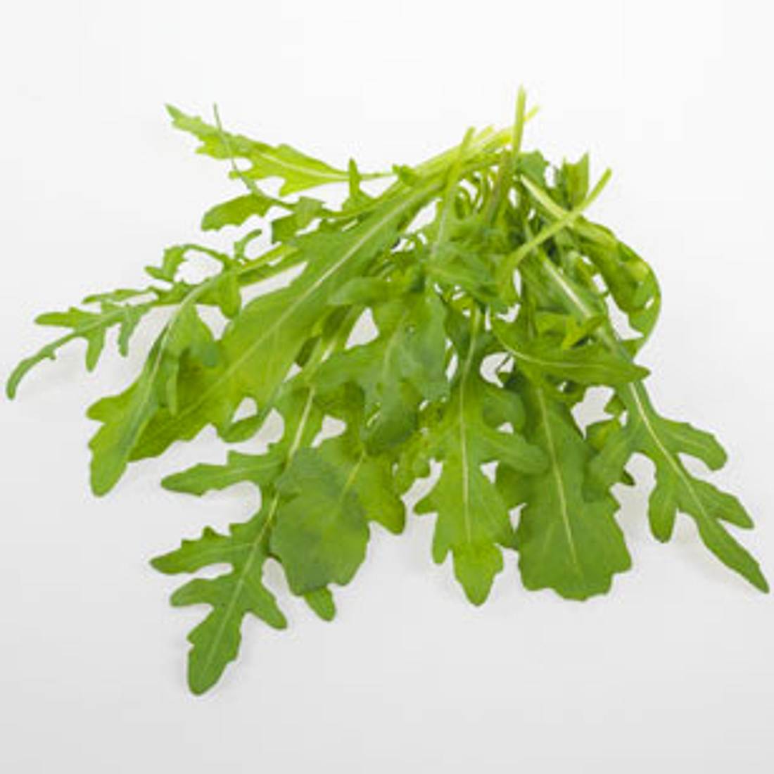 Rucola - würzig-scharfe Rauke | LECKER