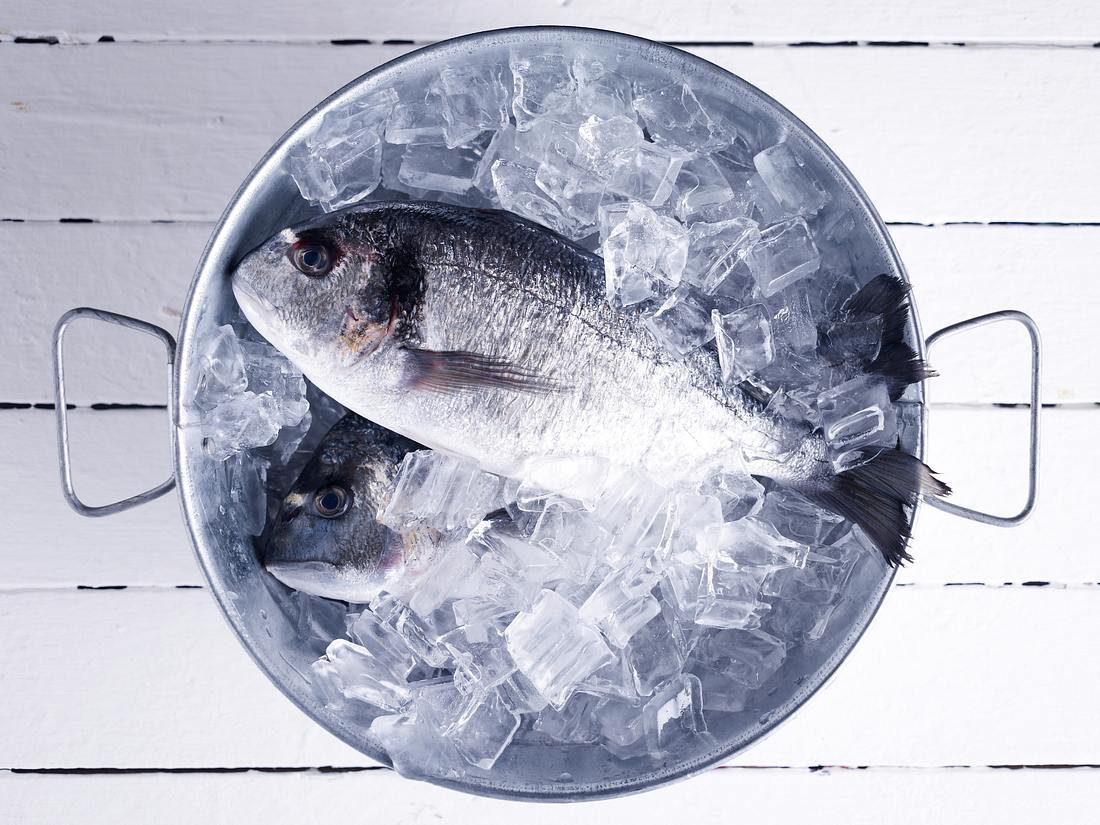 Saisonkalender Fisch | LECKER