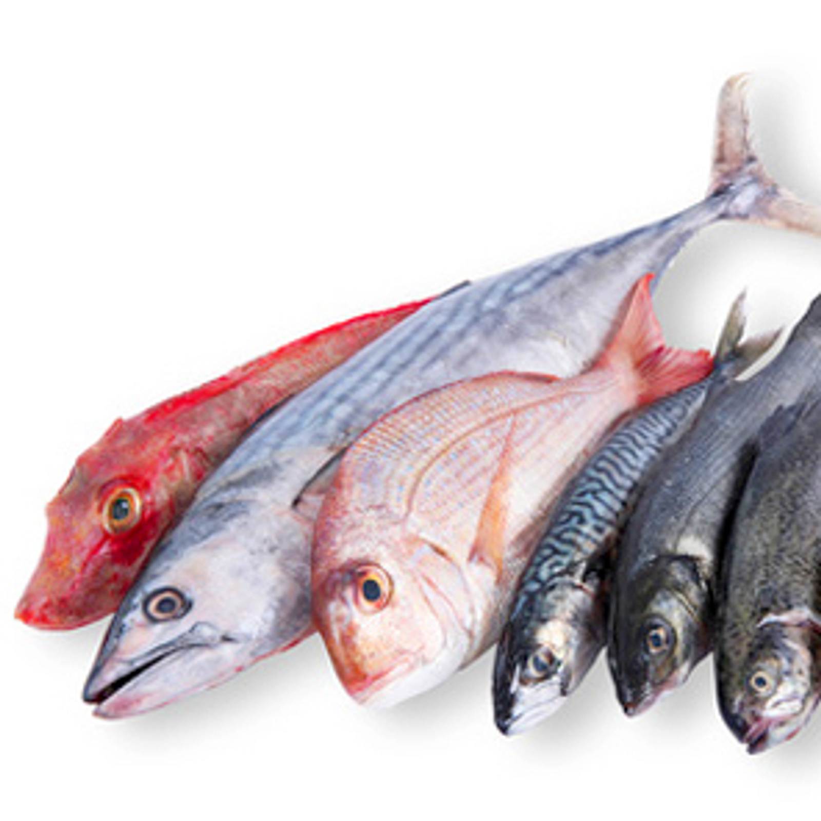 Saisonkalender Fisch | LECKER