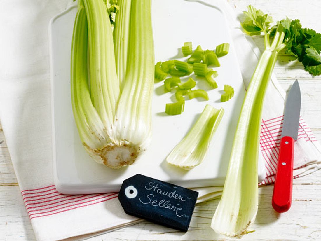 Staudensellerie - knackiger Fitmacher | LECKER
